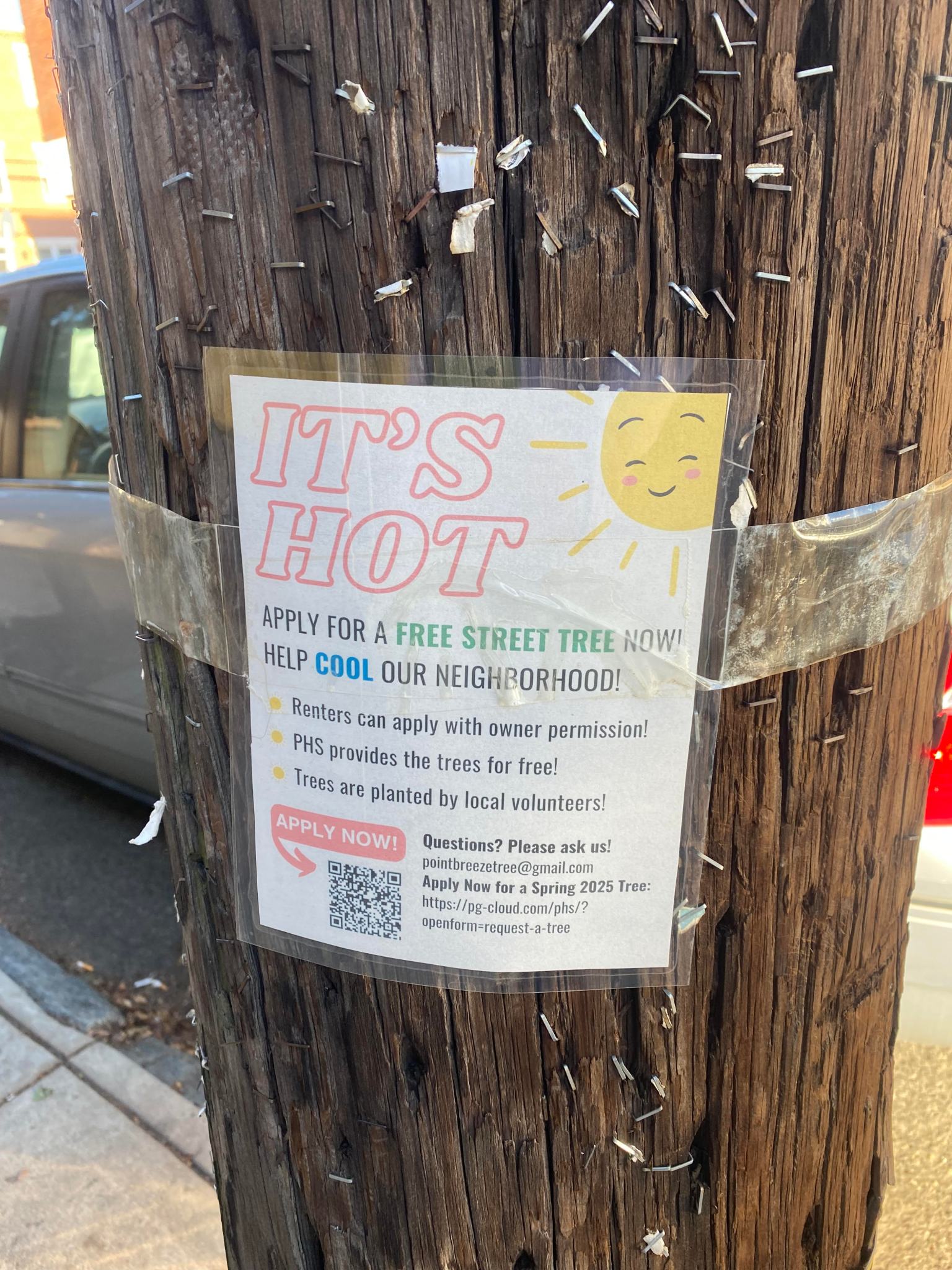 How to Get a Free Tree in Philly and the Surrounding Suburbs – Philly ...